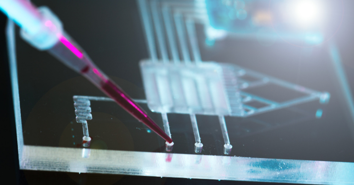 What is Hydrogel, and How is it Used? | Strouse